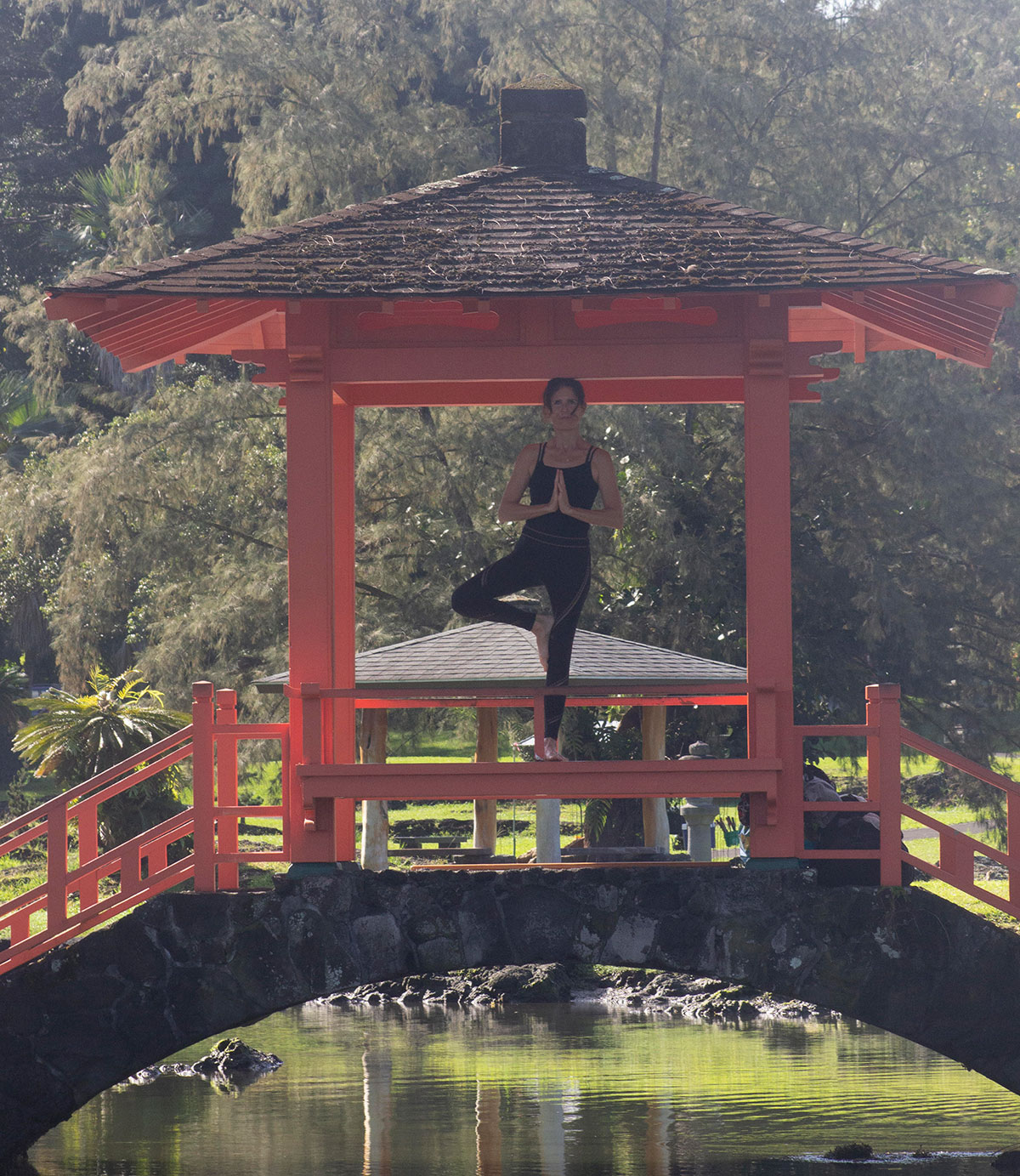 Path with Heart 45 - Rise with Fire - Aerin Alexander